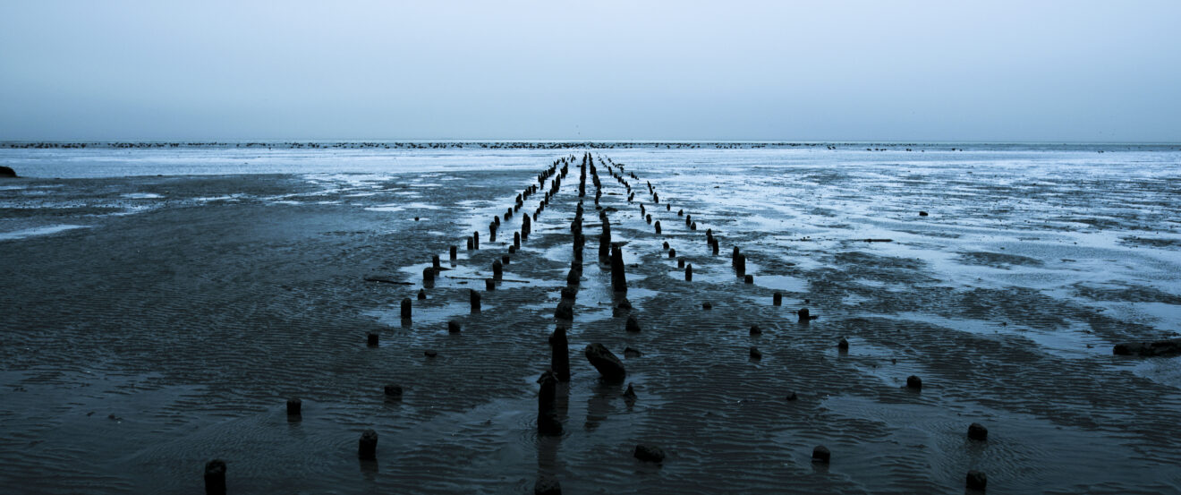 Het geluid van de Waddenzee - Duitsland magazine
